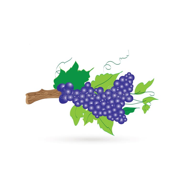 Raisins illustration de vecteur. Illustration du raisin - 16377477