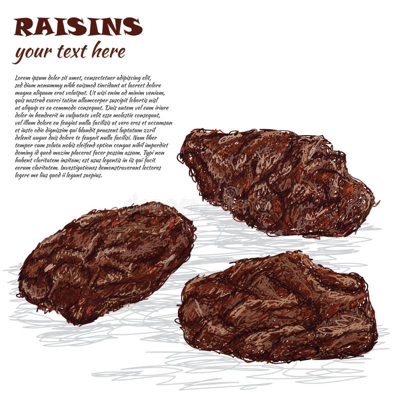 Pile of Dried Raisins, Sketch Style, Hand Drawn Vector Illustration ...