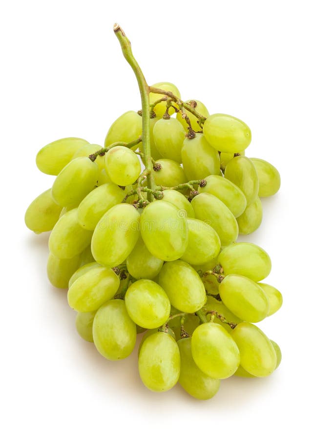 Raisins blancs photo stock. Image du doux, lames, nutrition - 57951624