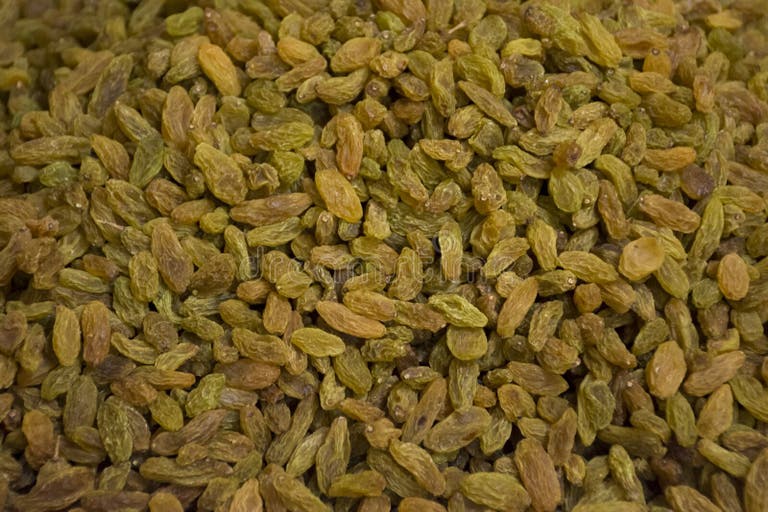 Raisins close up image stock photo. Image of isolated - 221688200