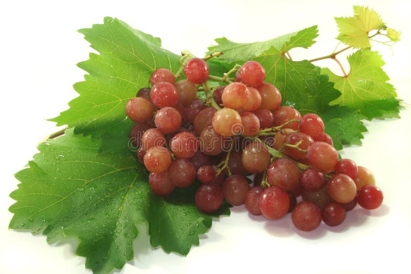 Raisins rouges image stock. Image du raisin, fruits, vert - 15441051