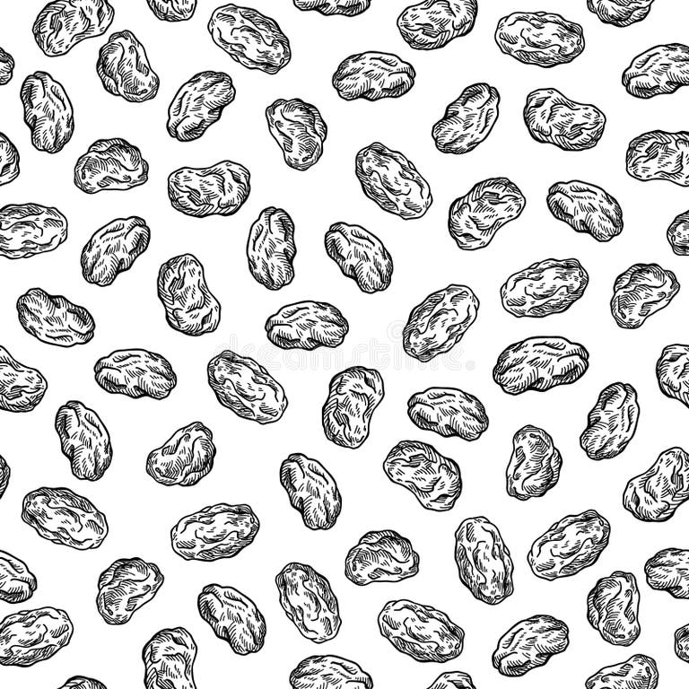 Raisins Vector Stock Illustrations – 2,265 Raisins Vector Stock ...
