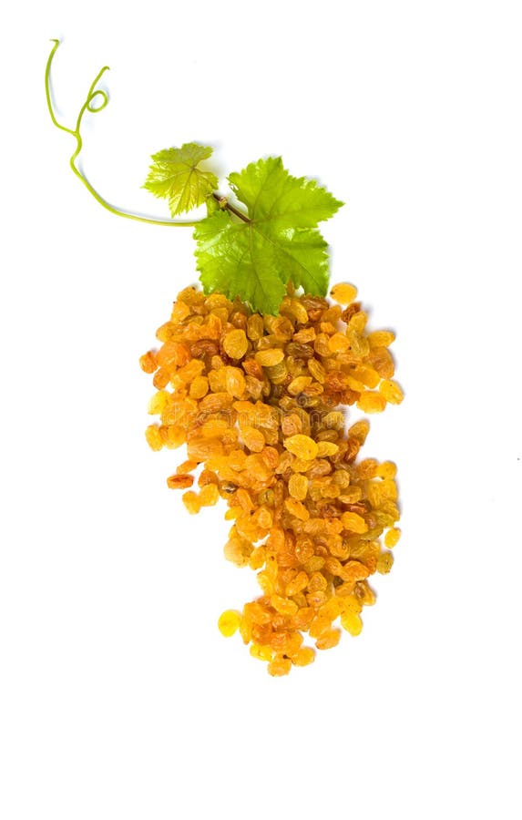 Raisins Shaped As Grape Cluster Isolated Stock Image - Image of wine ...