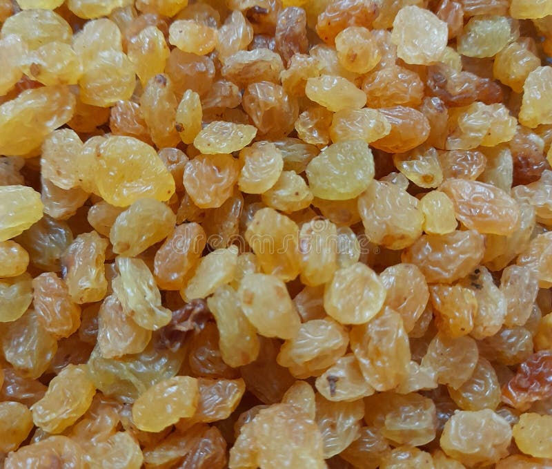 Raisins are a Type of Dried Grape that is Believed To Increase Memory ...