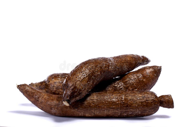 Raiz Da Mandioca Isolada Em Um Fundo Branco Imagem de Stock - Imagem de ...