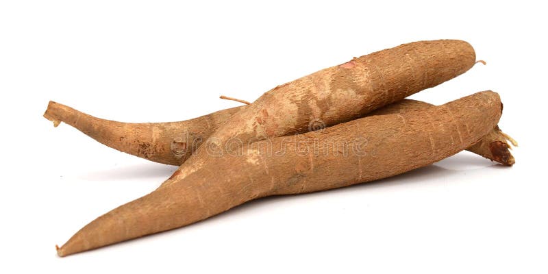 Raiz da mandioca imagem de stock. Imagem de mandioca - 90945453