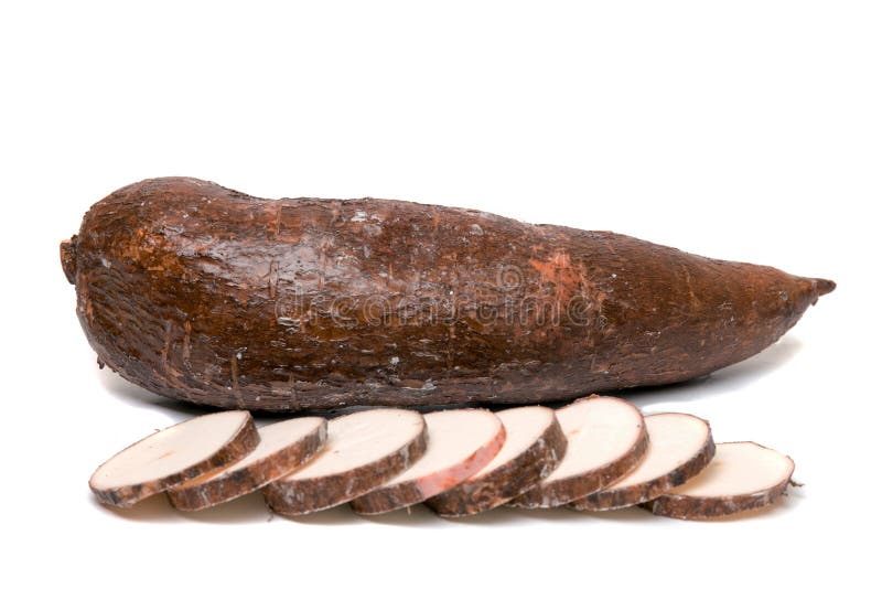 Raiz Da Mandioca Isolada Em Um Fundo Branco Imagem de Stock - Imagem de ...