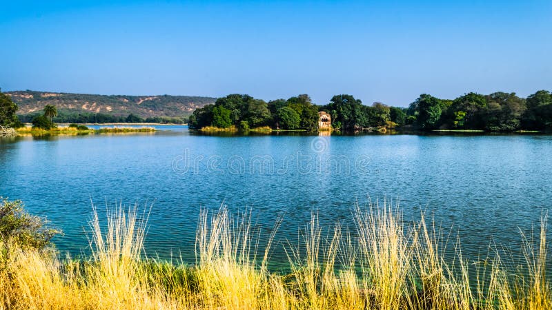Raj Baug Lake stock image. Image of lake, ranthambore - 94327947
