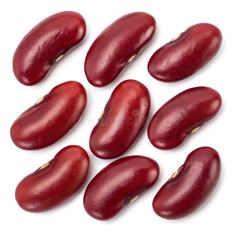 Rajma Kidney Beans â€ Indian Cuisine Isolated Stock Illustration ...