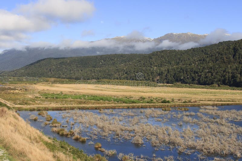 Rakatu Wetlands stock image. Image of small, protected - 27764367