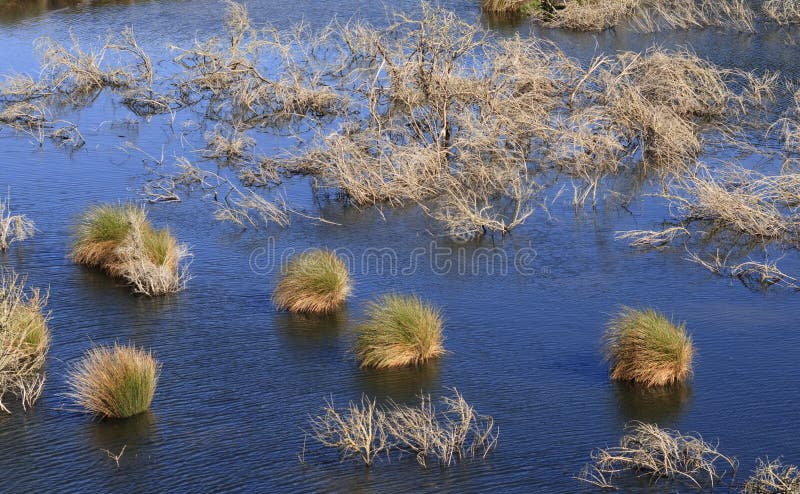 Rakatu Wetlands stock photo. Image of sustainable, route - 27764396