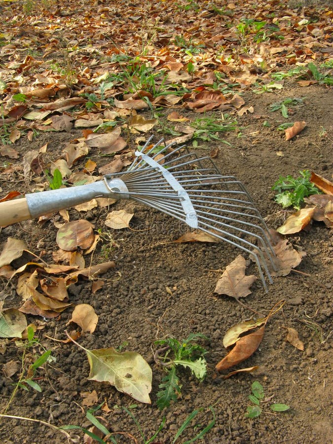 Time to clean stock photo. Image of wash, gloves, purity - 4180362