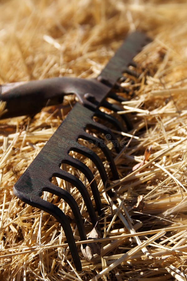 Rake stock image. Image of cutout, farm, detail, human - 17047279