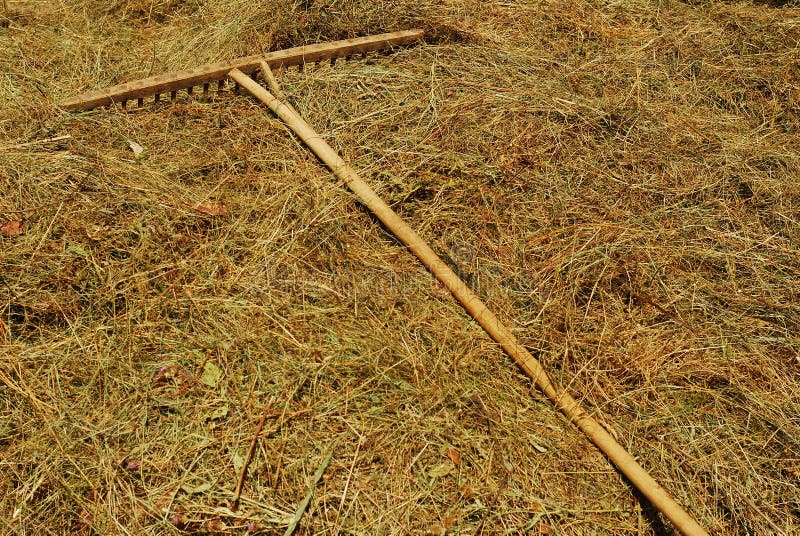 Rake stock photo. Image of straw, rake, wooden, tool - 18830226