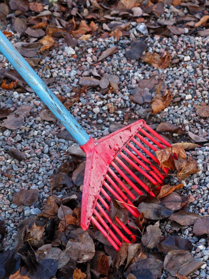 Rake stock photo. Image of leisure, object, handle, pebble - 24938122