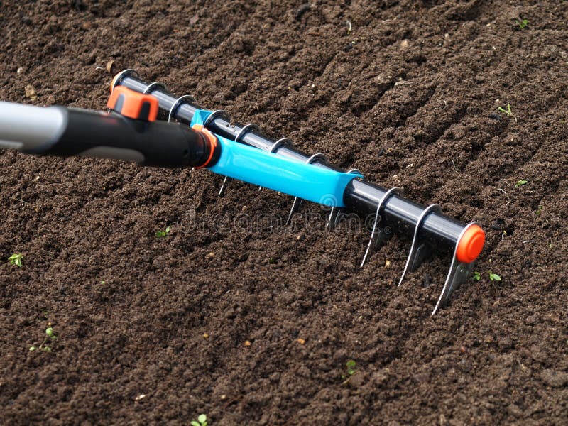 Raking the Ground for Forest Fire Prevention Stock Image - Image of ...