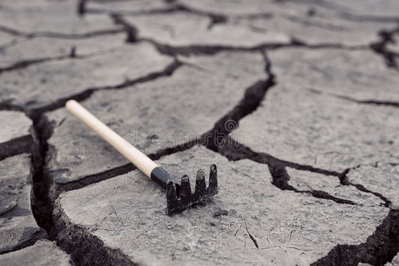 121 Broken Rake Stock Photos - Free & Royalty-Free Stock Photos from ...