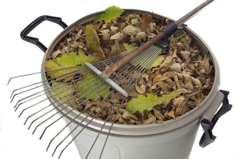 Rake and Dry Leaves in Garbage Bin Stock Image - Image of garbage ...