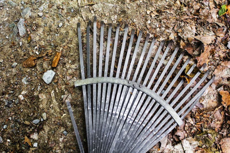Rake with Earth and Leaves in the Background Stock Photo - Image of ...