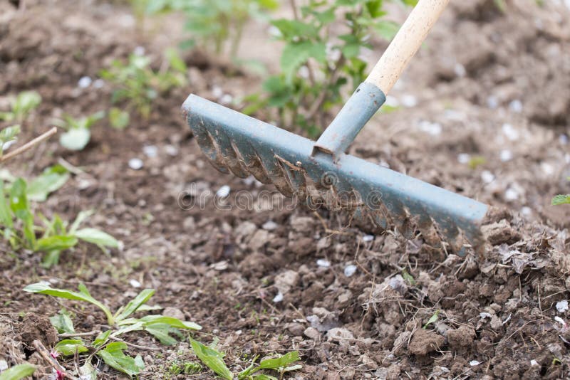 Rake in the garden stock image. Image of smoothing, dirt - 104180595