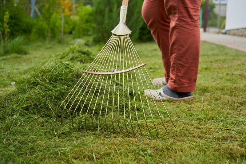 Rake the Grass in the Yard,woman with a Rake Working in the Yard Stock ...