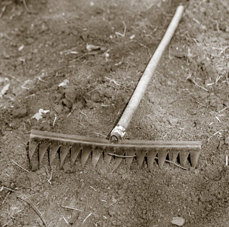 Rake on the Ground in the Garden Stock Image - Image of soil, shovel ...