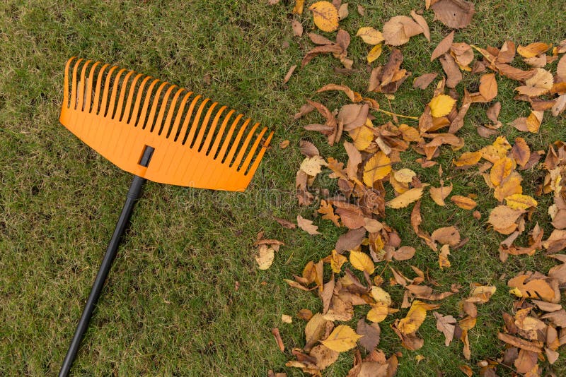 Sweeping leaves stock photo. Image of collect, raking - 43881980