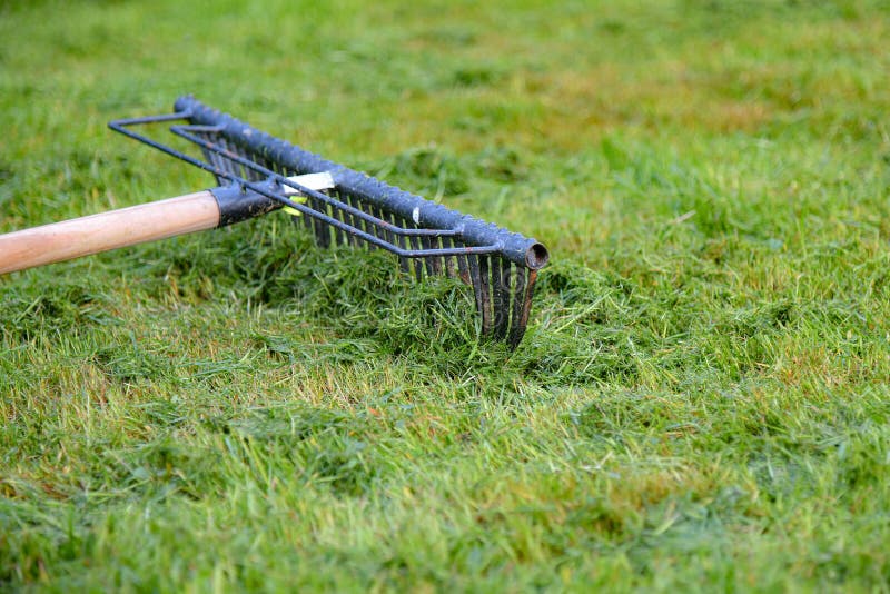 The Rake Lies on the Mowed Green Grass Stock Image - Image of handle ...