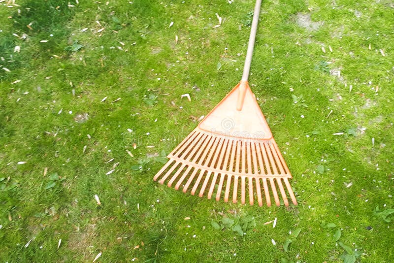 Rake lying on the grass stock image. Image of grass - 147034531