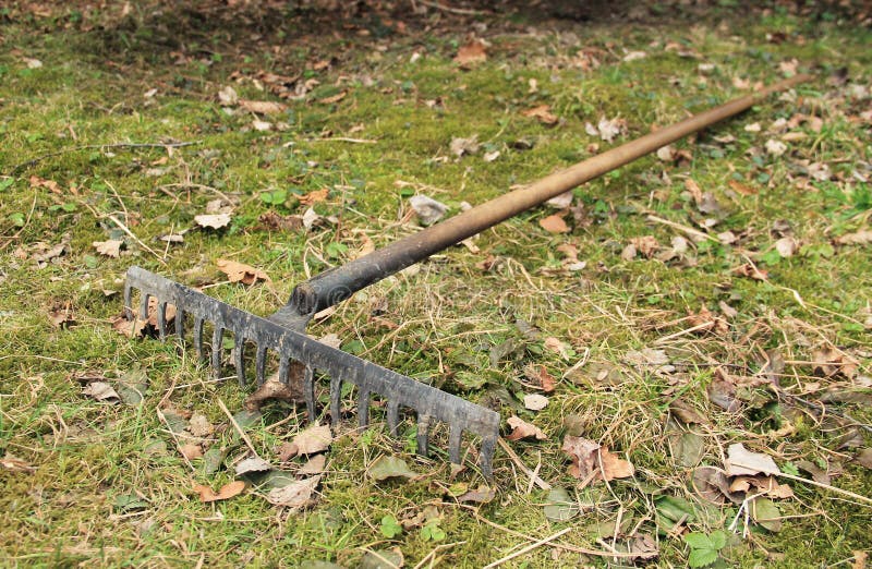 Rake stock photo. Image of permaculture, sustainable - 89367736