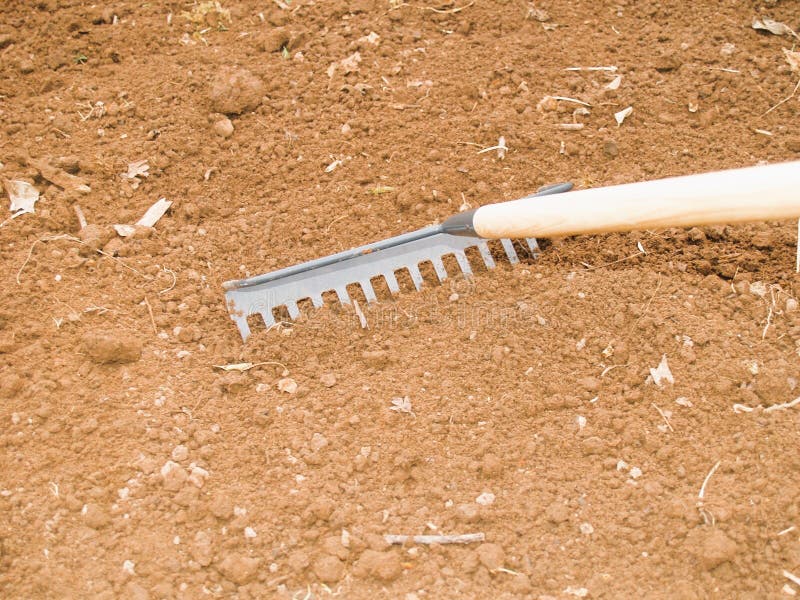 A Rake Raking Soil on the Plot Stock Photo - Image of earth, flooring ...