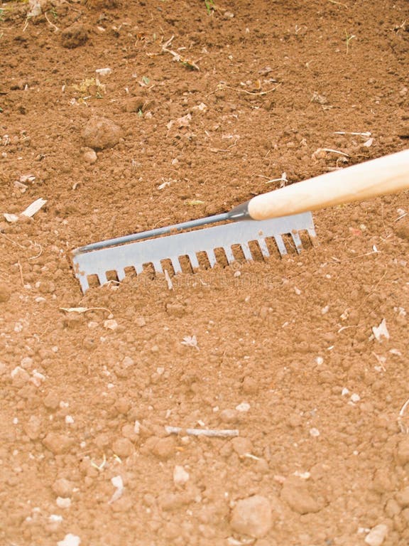 A Rake Raking Soil on the Plot Stock Photo - Image of farming, garden ...