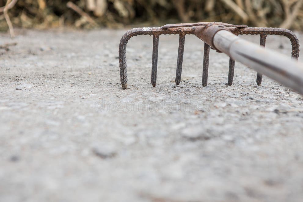 The rake is rusty stock photo. Image of closeup, natural - 130139722