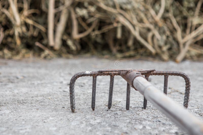 The rake is rusty stock photo. Image of landscape, handle - 130139760
