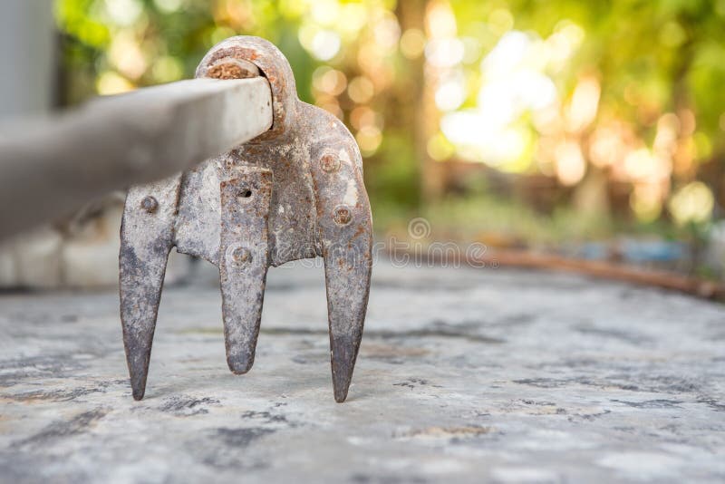 The rake is rusty stock image. Image of handle, branches - 130038941