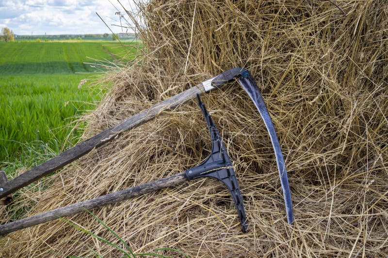 Rake and Scythe on Dried Straw in a Field Stock Photo - Image of ...
