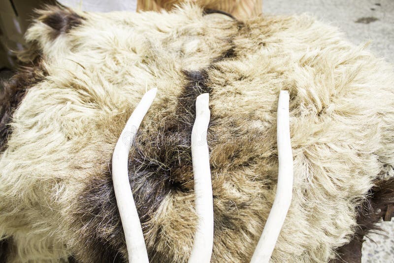 Rake skin stock photo. Image of hairy, fashion, industry - 44272476