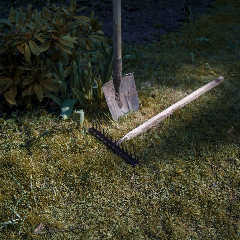 Rake and spade stock photo. Image of grass, equipment - 264469652