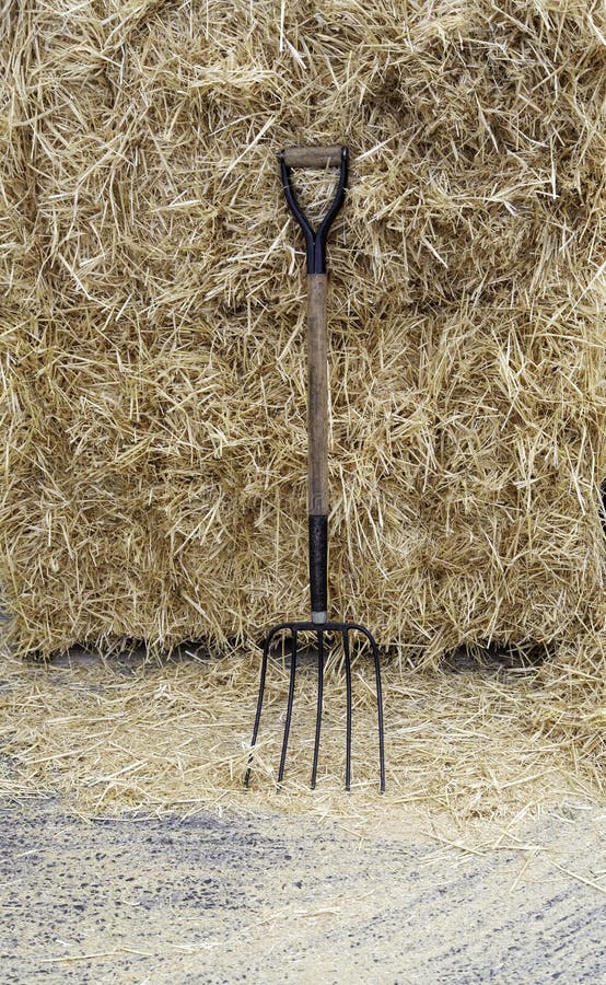 Rake in the straw stock image. Image of stacking, field - 264052307