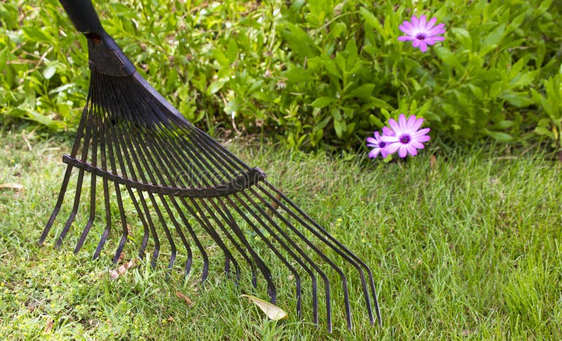 Rake on a wooden stick, stock image. Image of wooden - 185677535