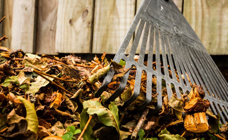 Raked Up stock photo. Image of yellow, autumn, heap, lawn - 67820470