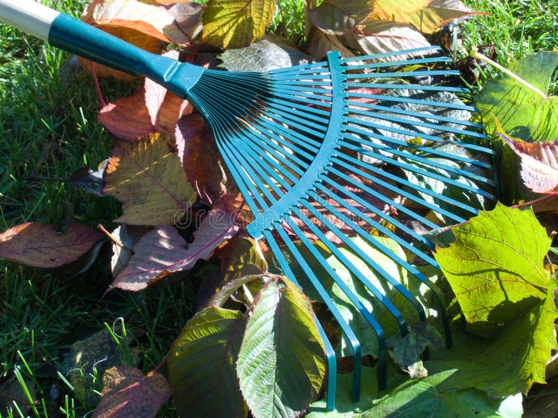 Raker and leaves stock image. Image of garden, front - 13448007