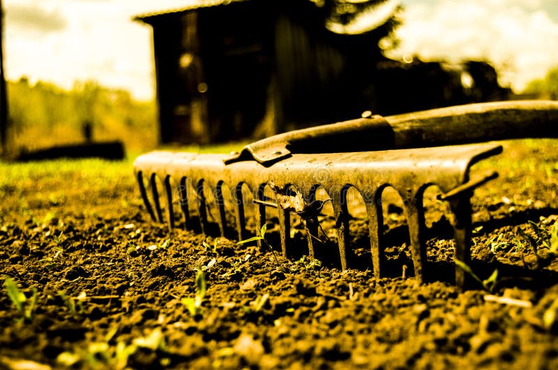 A raker stock photo. Image of village, sunset, work, farming - 54790746