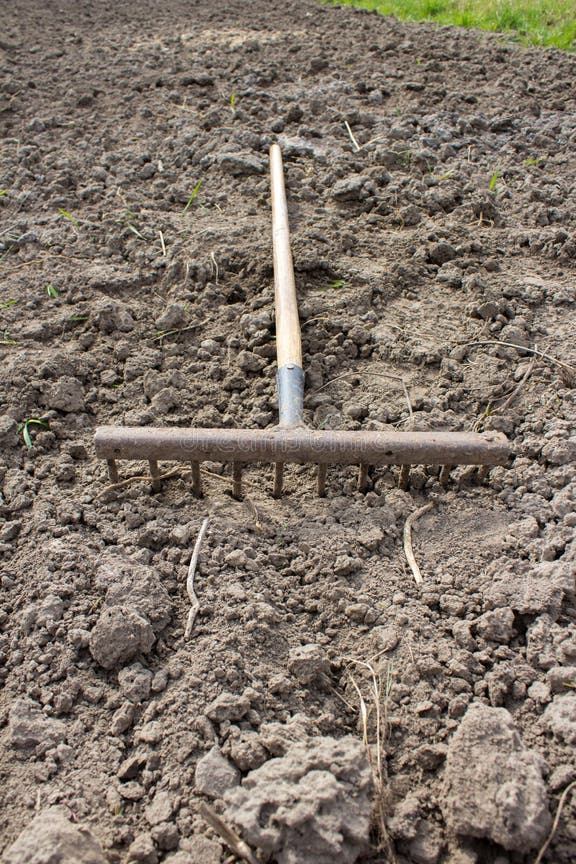 Rakes and black earth stock image. Image of industry - 40525299