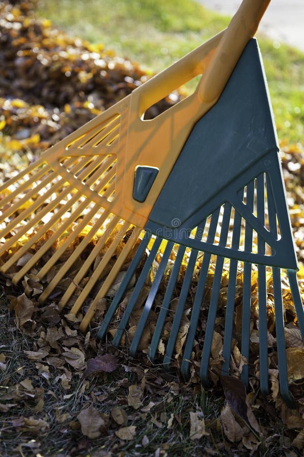 Raking stock image. Image of home, leaves, vertical, yard - 22302773