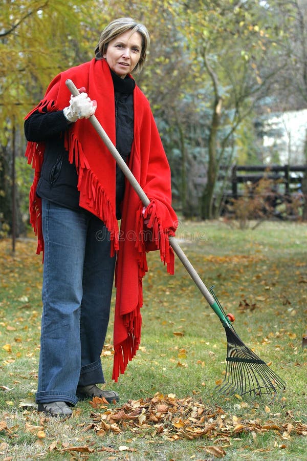 Raking stock image. Image of gardening, middleaged, rakes - 506179