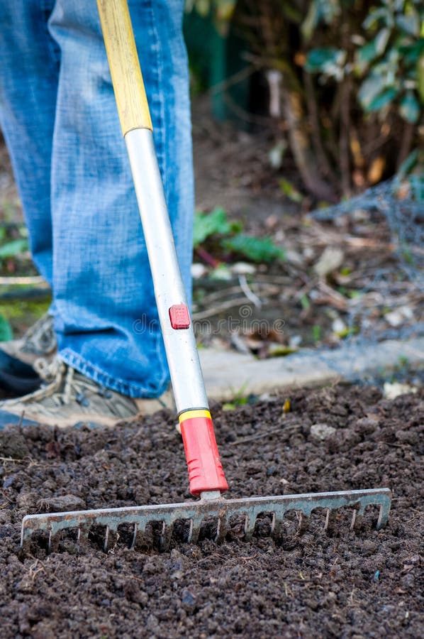 Raking the Garden stock image. Image of gardener, field - 40013723