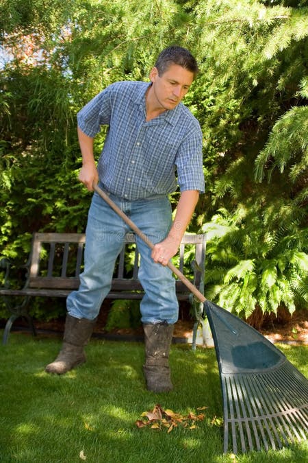Raking gardener stock photo. Image of maintenance, home - 916216