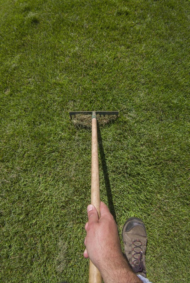 Raking Grass Waste after Cutting the Grass Stock Image - Image of view ...