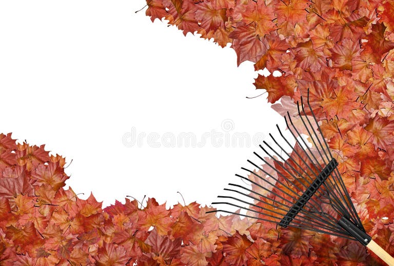 4,604 Raking Leaves Stock Photos - Free & Royalty-Free Stock Photos ...